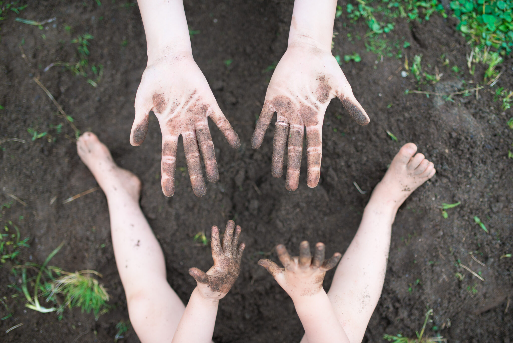 Play Naturally OT – NATURE PLAY & CONNECTION FOR WELL-BEING: Connecting ...